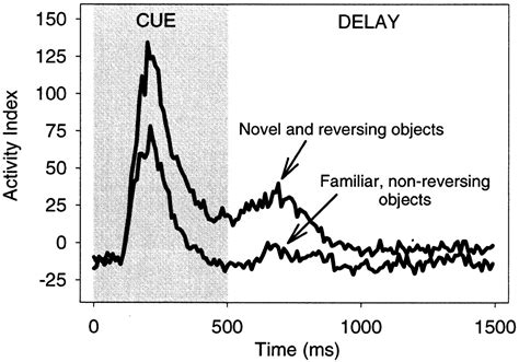Neural Activity In The Primate Prefrontal Cortex During Associative Learning Neuron