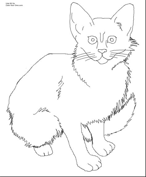 Kitten简笔画nkey简笔画o简笔画大山谷图库