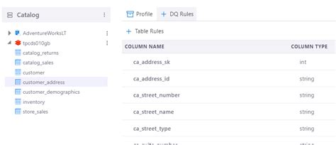 Dqops Query Databricks Database Schema Through Sql Connector For Python Data Ninjago