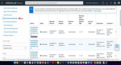 Scheduling Backups On An Oracle Cloud Vps Designly