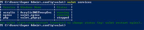 Php Service Not Starting · Issue 1000 · Laravelvalet · Github