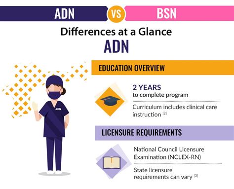 Competencies Difference Between Adn Vs Bsn PHDessay Com