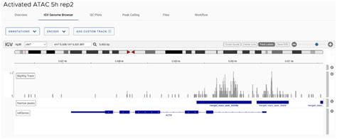 Pipelines For ATAC Seq Data Analysis