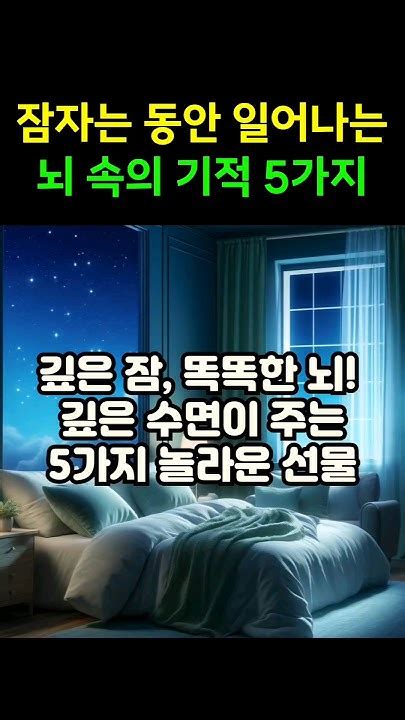 당신이 자는 동안 뇌에서 일어나는 놀라운 일 5가지 1분건강정보 100년건강비결 수면 뇌건강 기억력향상 인지기능 스트레스관리 정서안정 신경세포복구 수면과