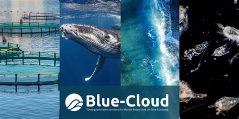 Thematic Virtual Labs For Ocean Science At A Glance Blue Cloud 2026