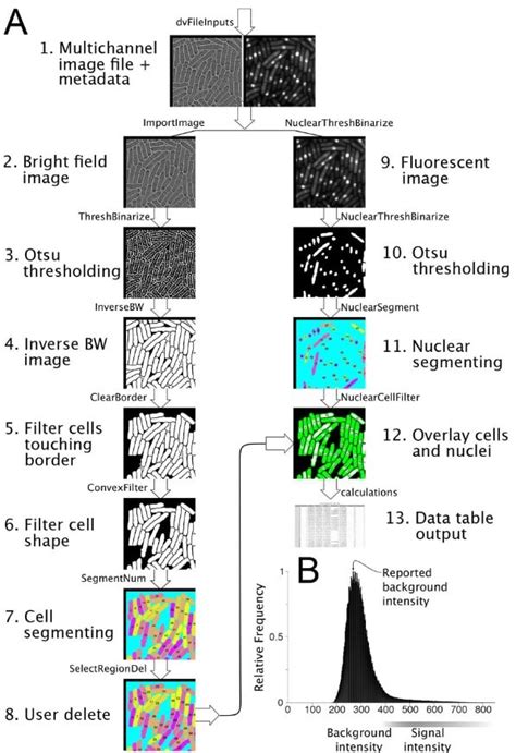 Microscopy Preprints Bioimage Analysis Tools Focalplane