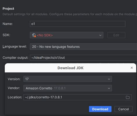 Installing Intellij O1 A