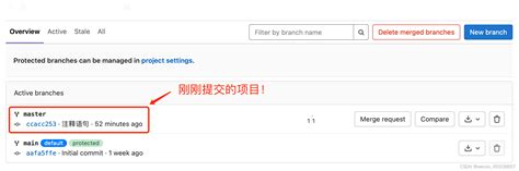 在mac电脑上上传本地项目到gitlab教程苹果电脑怎么提交 代码 Gitlab Csdn博客
