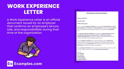 15 Work Experience Letter Examples To Download