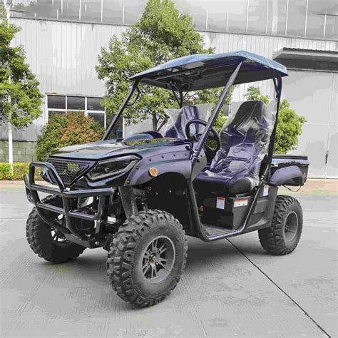 2 Seater All Terrain Utility Vehicles Street Legal Dune Buggy