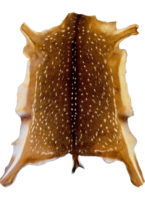 Axis Deer Hides Archives Traditional Tanners