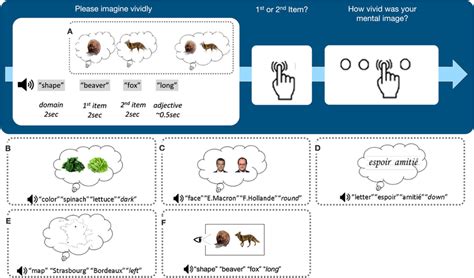 Examples Of Trials Of The Visual Mental Imagery Battery Performed By Download High
