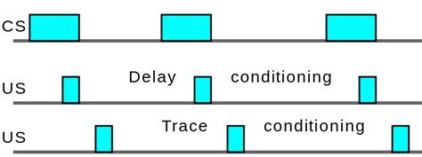 Filedelaytrace Conditioningsvg Wikimedia Commons