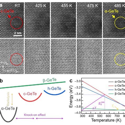 thermodynamic and kinetic features of polymorphic phase transformation