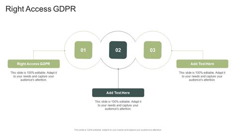 Right Access GDPR In Powerpoint And Google Slides Cpb PPT Example
