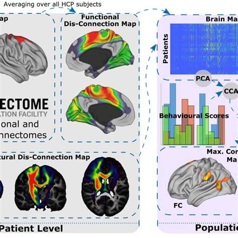Pipeline For Multimodal Lesion Network Mapping And Its Association To