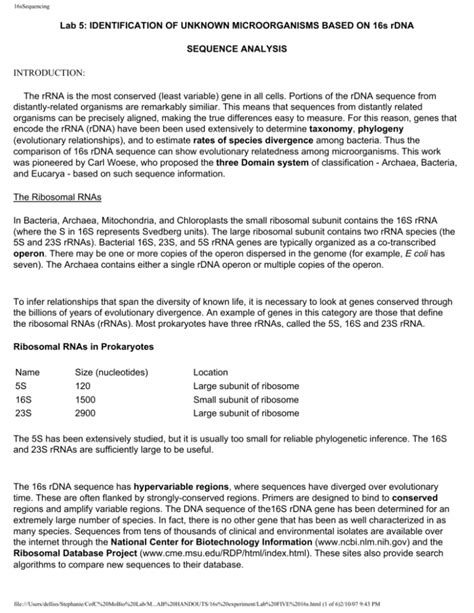 Lab IDENTIFICATION OF UNKNOWN MICROORGANISMS