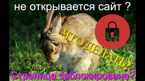 Что делать если не открывается сайт в браузере Способ решения проблемы