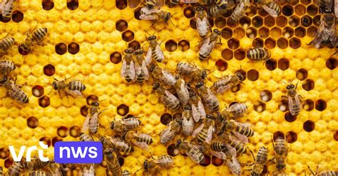 75 Procent Van Honing Die Uit China Geïmporteerd Wordt Is Vals Vrt Nws Nieuws