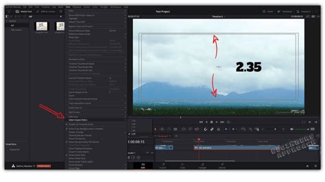 DaVinci Resolve Change Aspect Ratio Vertical Portrait