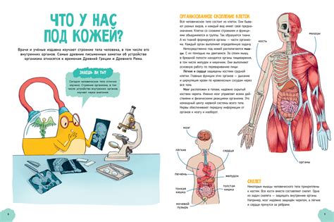 Удивительные энциклопедии. Невероятное тело человека купить с доставкой ...