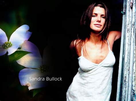 Sandra Bullock Wallpapers Wallpapersafari
