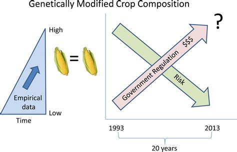 Genetically Modified Soybeans Process