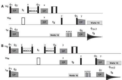 A Schematic Representation Of The Pulse Sequence For The 1