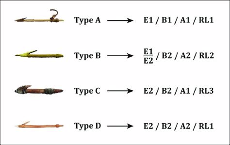 Types Et Combinaisons Des Variables Download Scientific Diagram