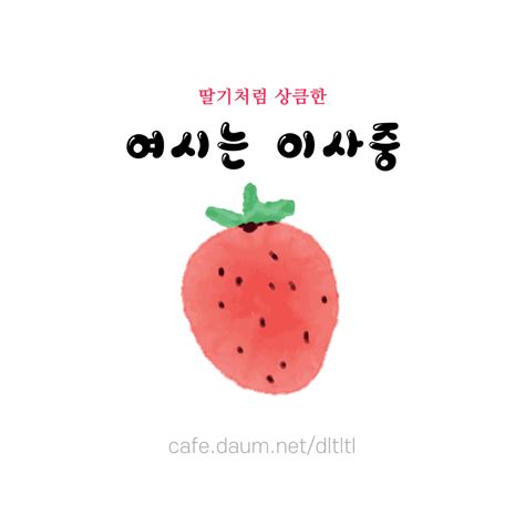 Daum 카페