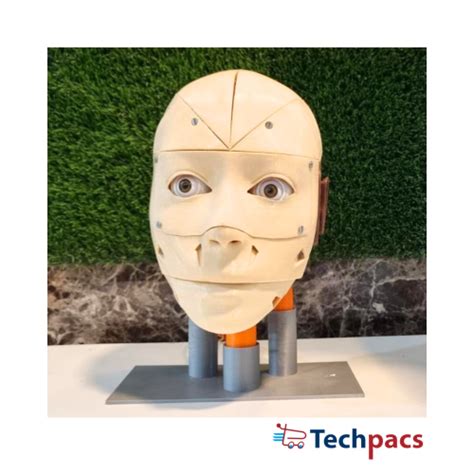 esp32 powered robot for ai based face mirroring and digital twin