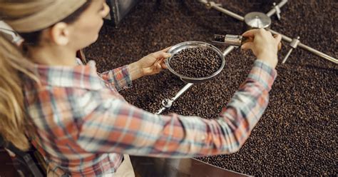 커피 곡물 로스팅 수준을 측정하는 커피 공장 노동자 사진 Unsplash의 세르비아 이미지