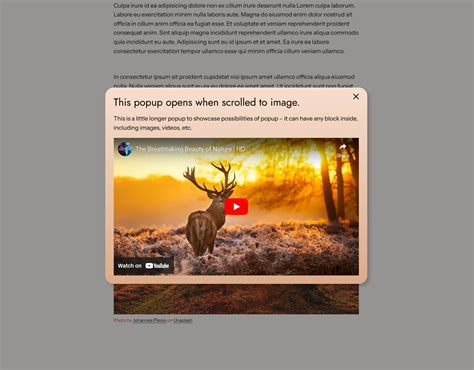 Makeiteasy Popup Wordpress Plugin