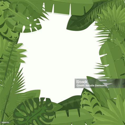 벡터 일러스트 레이 션 열 대 녹색의 나뭇잎 팜 정글 나뭇잎 만화 플랫 스타일에서 Philodendron 프레임 흰색 배경 건강한 생활방식에 대한 스톡 벡터 아트 및 기타