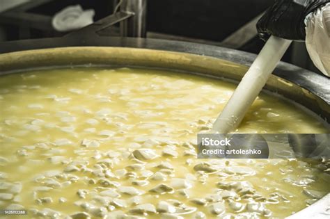 산업에서 다양한 종류의 치즈를 생산하는 과정 천연 우유로 치즈 만들기 0명에 대한 스톡 사진 및 기타 이미지 0명 Performing Arts Event 건강한