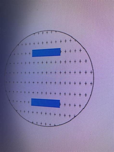 Solved What Would The Electric Field Lines Look Like If The Chegg Com