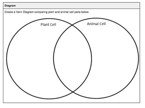 Cell Comparison Lab New Visions Science