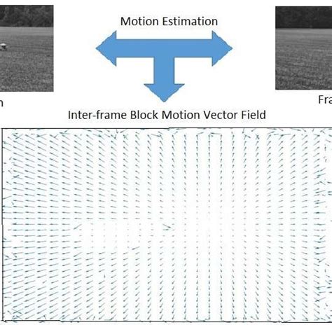 inter frame block motion vector field resulting from motion estimation