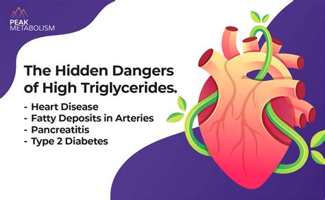 Managing High Triglycerides Expert Insights And Functional Medicine Approaches Peak Metabolism