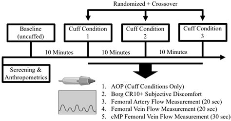 Impacts Of Varying Blood Flow Restriction Cuff Size And Material On