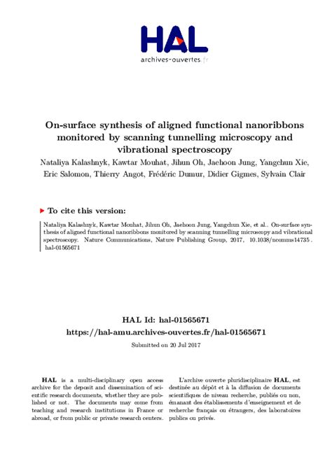 Pdf On Surface Synthesis Of Aligned Functional Nanoribbons Monitored By Scanning Tunnelling