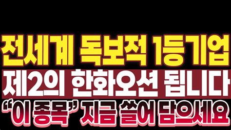 주식 전세계 독보적 1등기업 제2의 한화오션 됩니다 이 종목 지금 쓸어담으세요hd현대중공업방산조선 Youtube