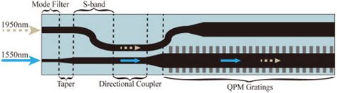 Schematic Of The Integrated Ppln Waveguides The Gray Dashed Line And