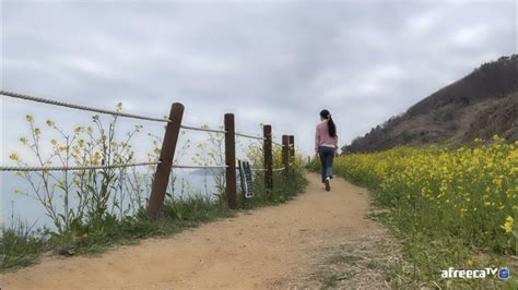남해 차박 그림여행 2🎨 Soop Vod