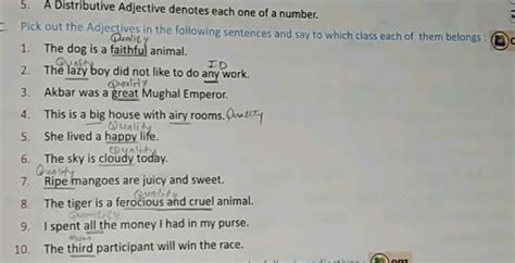 5 A Distributive Adjective Denotes Each One Studyx