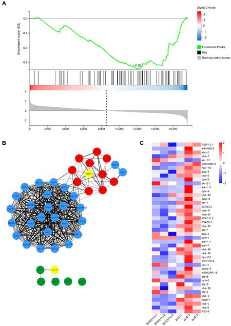 a gsea plot of the mtor signaling pathway all genes are arranged