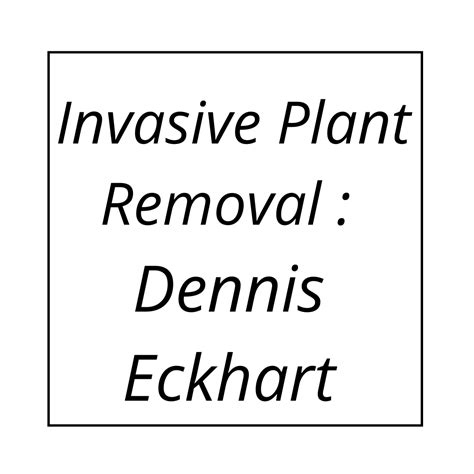 28 Invasive Dennis Eckhart American River Parkway Foundation