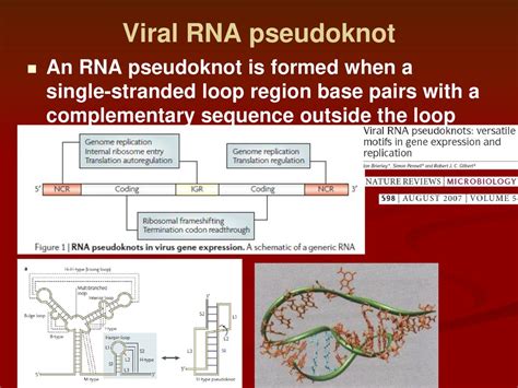 department of microbiology and immunology ppt download
