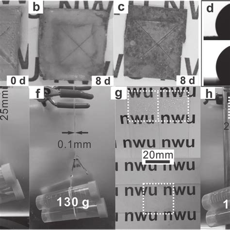 Figure S2 Thermogravimetric Analysis Tga Curves Of The Pdms Tfb And