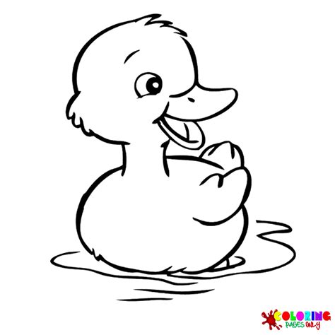 أكثر من ٢٠ صفحة تلوين حمام ملفات Pdf قابلة للطباعة مجانًا أو تلوين